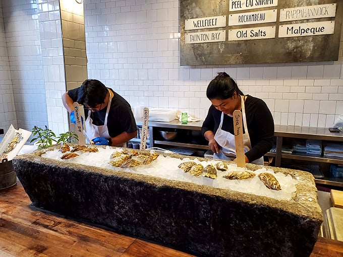 Oyster shuckers performing their daily ritual with surgical precision. The unsung heroes turning hard shells into heavenly bites.