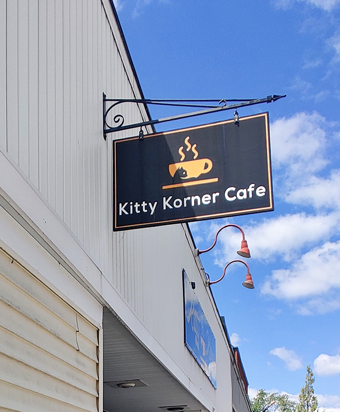 The hanging sign catches Vermont's brilliant blue sky, with the cafe's signature cat-in-a-coffee-cup logo visible from down the block.