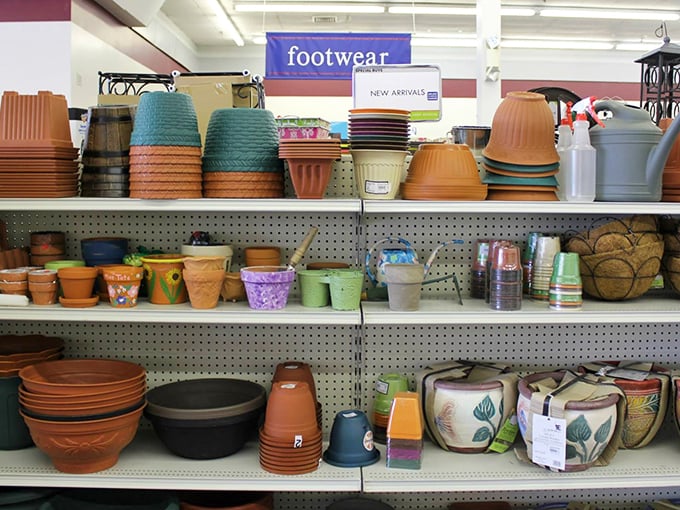 Garden pots in every imaginable size and color&mdash;proof that Maine's green thumbs are constantly upgrading their container game while passing on perfectly good planters.
