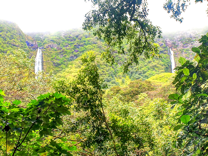 Twin waterfalls peek through the jungle canopy like nature's version of a double feature, starring gravity and several million years of erosion.