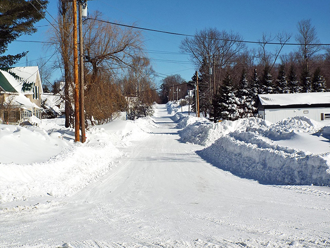 Winter transforms Greenville's streets into a snow globe scene that would make Currier and Ives reach for their sketchpads.