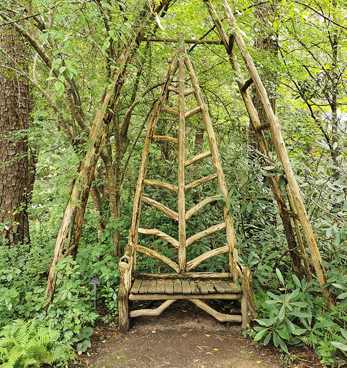 Nature's cathedral &ndash; this wooden structure frames the forest like living stained glass, inviting quiet contemplation and the occasional squirrel sermon.