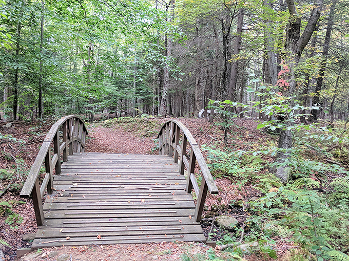This humble footbridge doesn't just connect two trails &ndash; it connects you to simpler times when crossing a stream was the day's adventure.