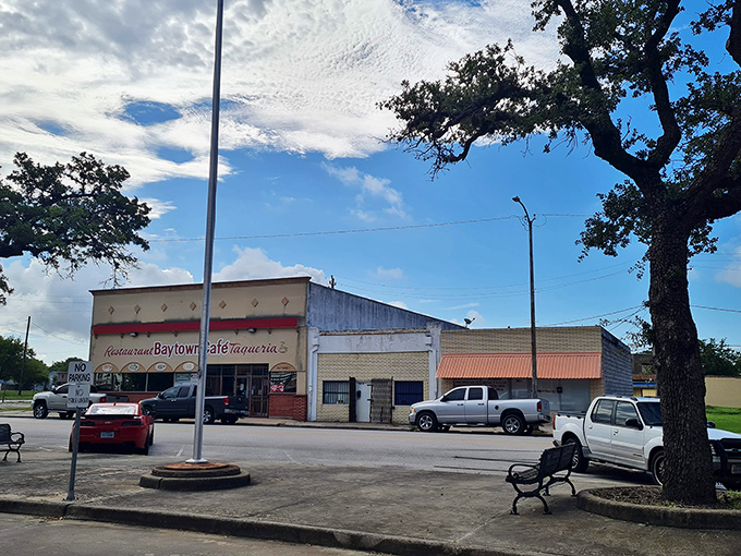 Baytown's park bench invites you to sit a spell and watch your cost of living drop. That oak tree's been saving shade longer than you've saved for retirement!