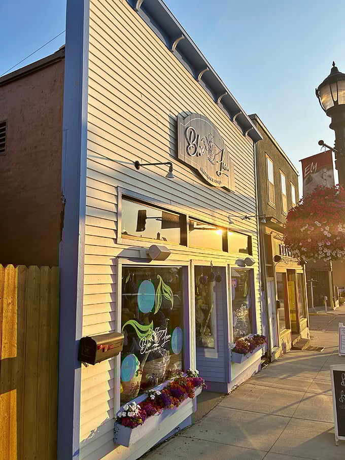 The Blue Loon Gallery brings artistic flair to Ely's main street. Those flower boxes aren't just pretty&mdash;they're a statement about finding beauty in harsh northern climates.