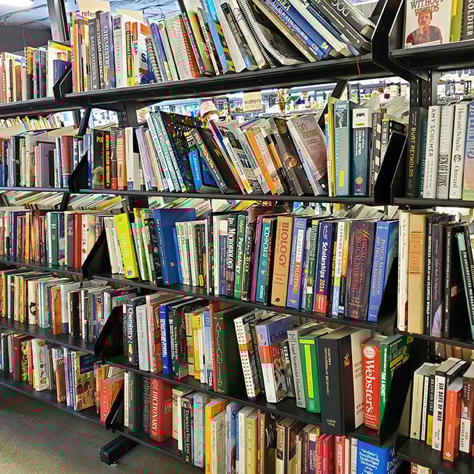 Books stacked like geological layers of literary history. Dig deep enough and you might unearth that out-of-print cookbook you've been seeking.
