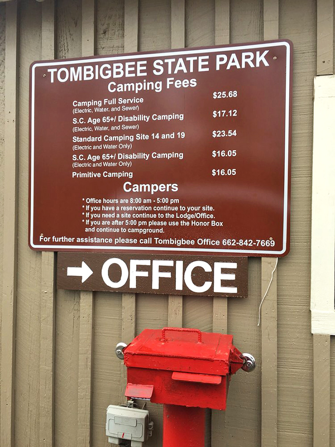 Practical information meets southern hospitality &ndash; everything you need to know about camping options without a single pop-up ad.