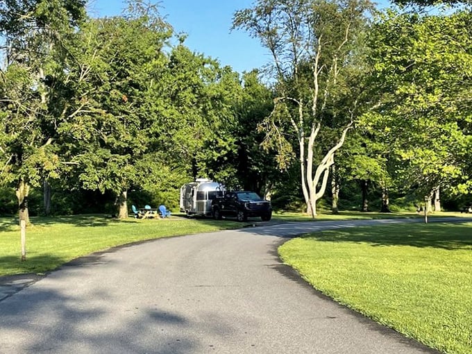 Camping spots nestled among trees offer that perfect balance&mdash;just enough civilization to be comfortable, enough wilderness to feel adventurous.