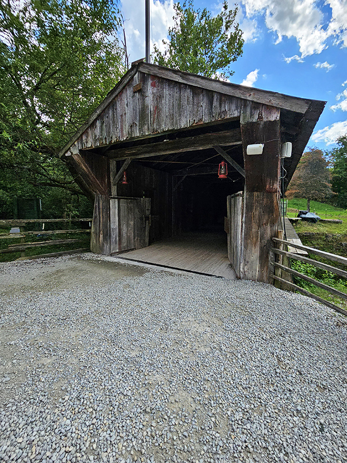 This weathered covered bridge isn't just Instagram-worthy – it's a functional piece of history connecting Clifton's past with its present.