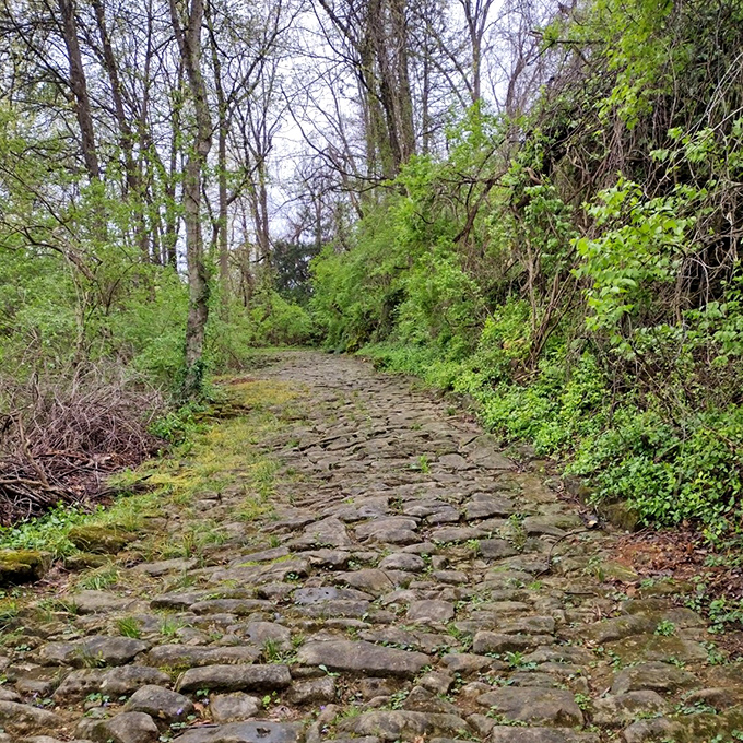 This ancient cobblestone path has witnessed centuries of footsteps, yet somehow manages to look more charming than your recently paved driveway.