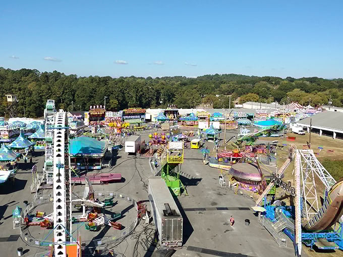Fair season brings rides, fried everything, and memories that make your fitness tracker weep with justified despair.