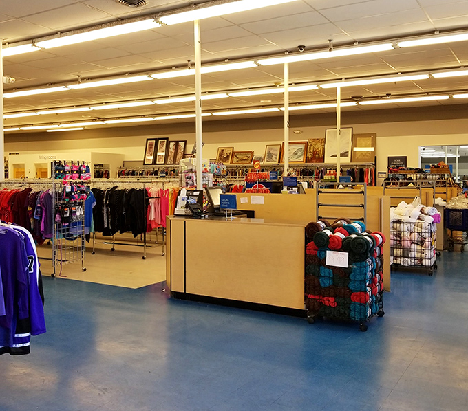 The checkout counter beckons after successful hunting, where your overflowing cart becomes an unbelievably affordable triumph of budgeting.