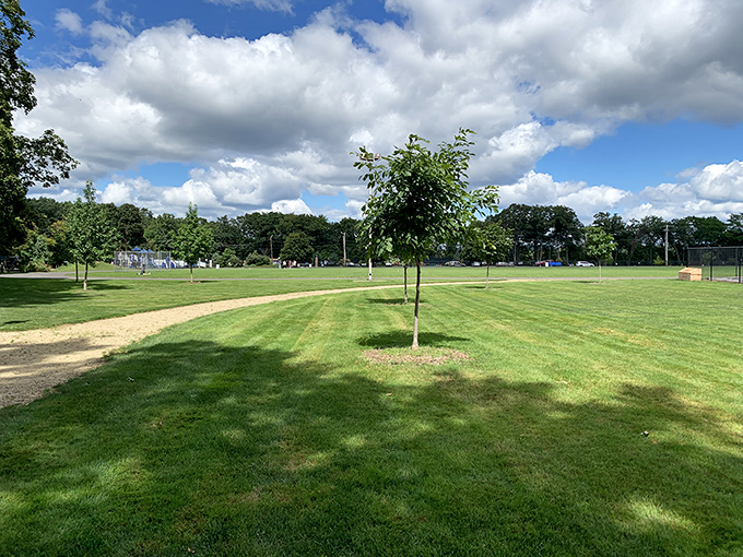 Perfectly manicured green spaces invite impromptu games of catch, picnics, or simply cloud-watching—the original entertainment subscription with no monthly fee.