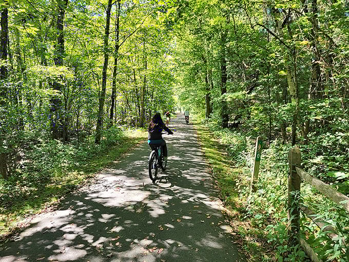 The Farmington River Trail offers nature's version of meditation &ndash; with better scenery and no subscription required. Cyclists find peace between the trees.