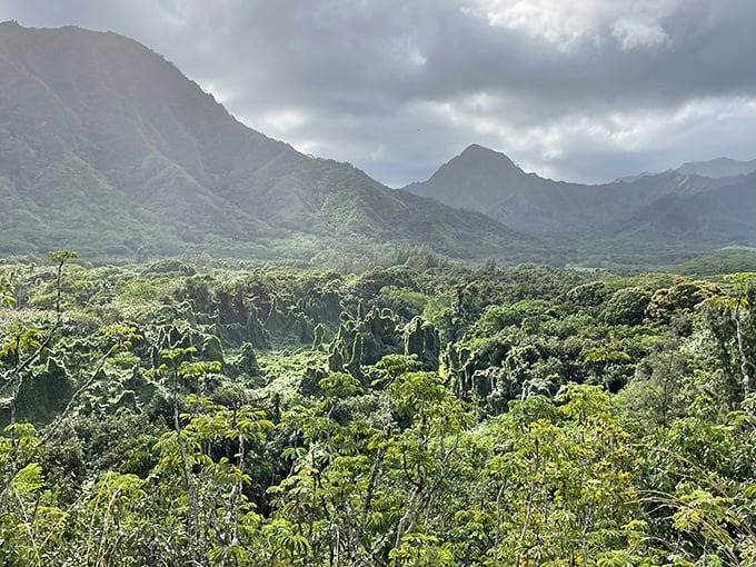 Morning mist embraces the valley like a gentle hug, revealing and concealing the landscape in a natural light show that changes by the minute.
