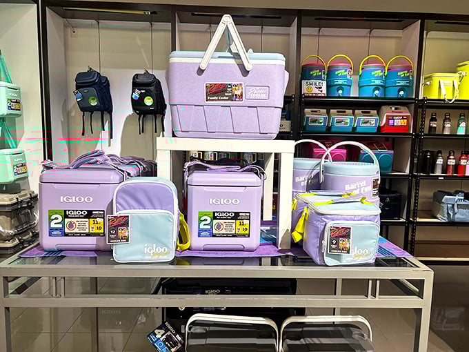 Pastel Igloo coolers that make picnicking look like it belongs on a magazine cover. Practical has never been so pretty.
