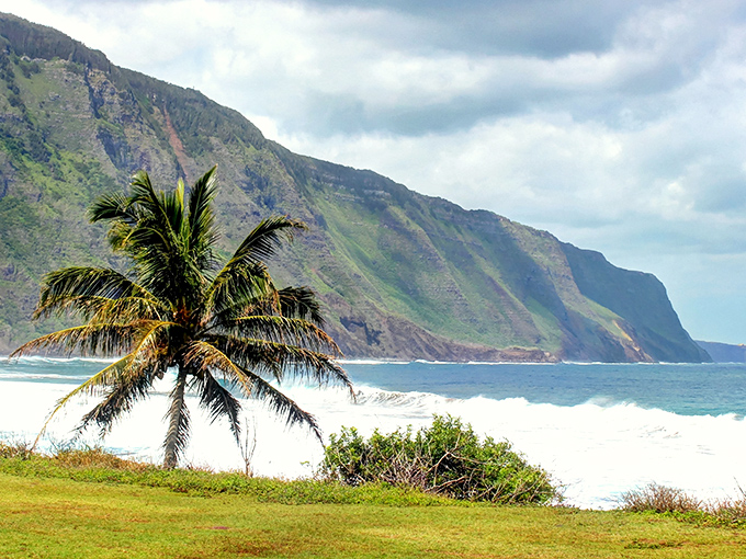 Where sea meets cliff in a dramatic standoff that's been running for millennia, with front-row seats for those willing to make the journey.
