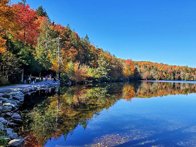 Mirror, mirror on the lake &ndash; is this the most perfect reflection in the state? Fall foliage creates a double feature of visual splendor.