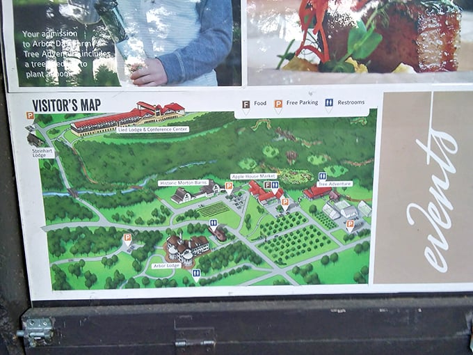 The visitor's map reveals a world of discovery. Like a treasure map for adults who prefer trees and history over buried gold.