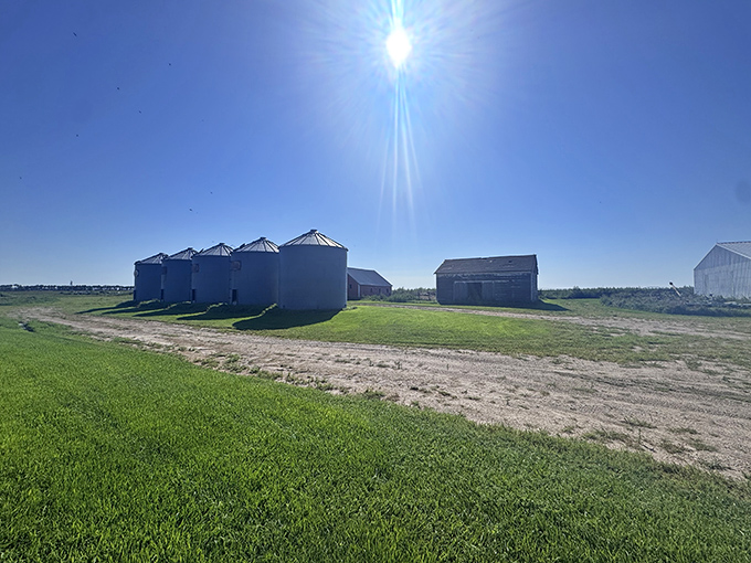 Maple Creek Cabin Co. sits nestled among trees, its metal buildings housing rural enterprises that keep Ellendale's economic engine humming beyond Main Street.