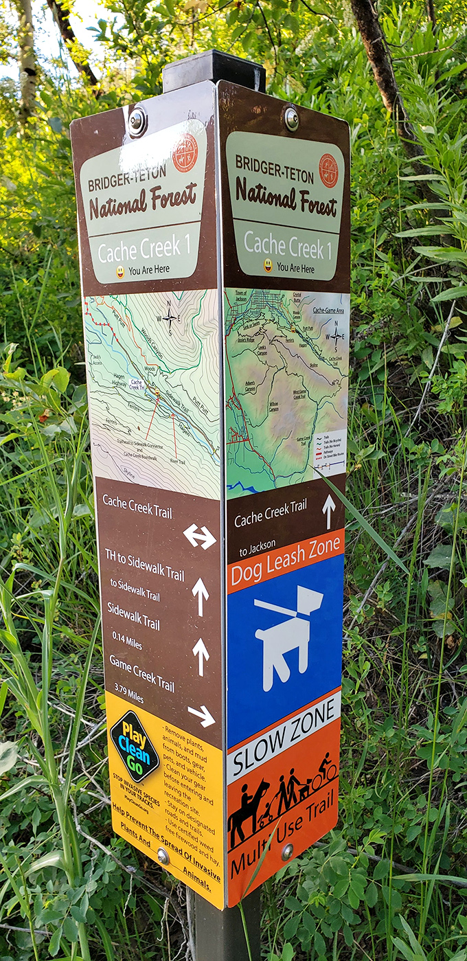 Trail markers guide explorers through the forest with helpful directions, keeping adventurers on track toward their next discovery.