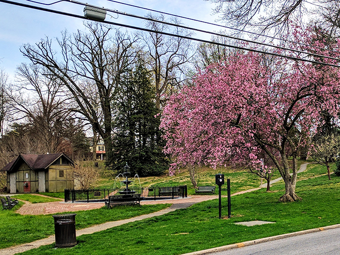 Marshall Square Park bursts into pink glory each spring, creating a backdrop so picturesque it belongs on a postcard &ndash; or your Instagram.