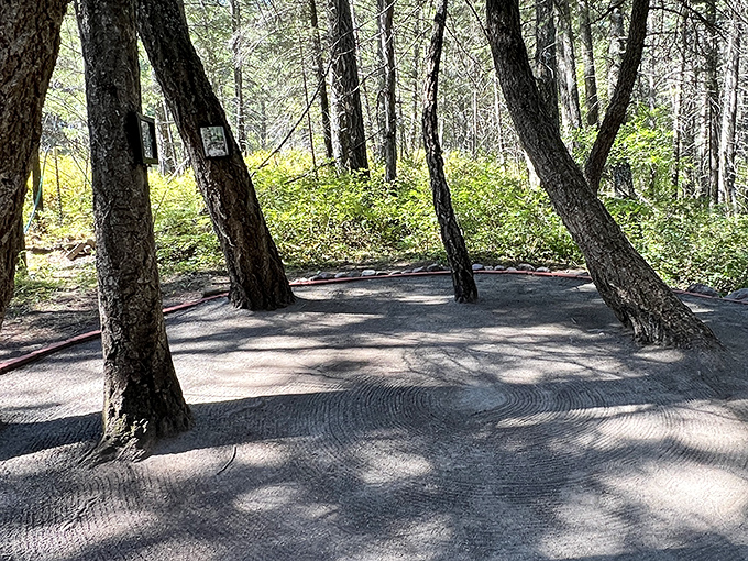 Montana Vortex's mysterious pathways wind through sun-dappled forest, where optical illusions challenge perception and balance.