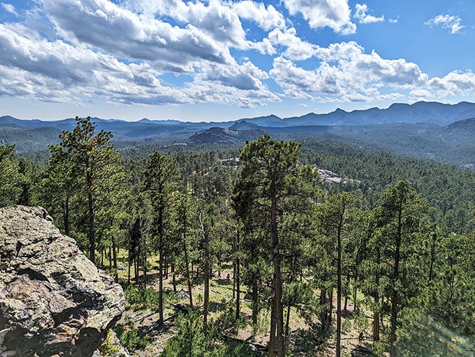 The Black Hills stretch out in layers of blue-green majesty, reminding visitors why this landscape has been considered sacred for centuries.