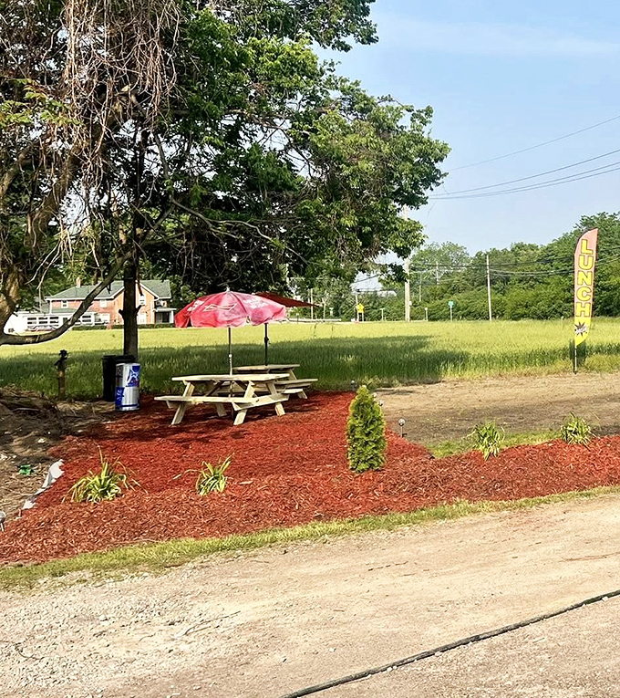Al fresco dining area that says, "Sure, we could be fancy, but wouldn't you rather just enjoy this gorgeous pizza in the sunshine?"