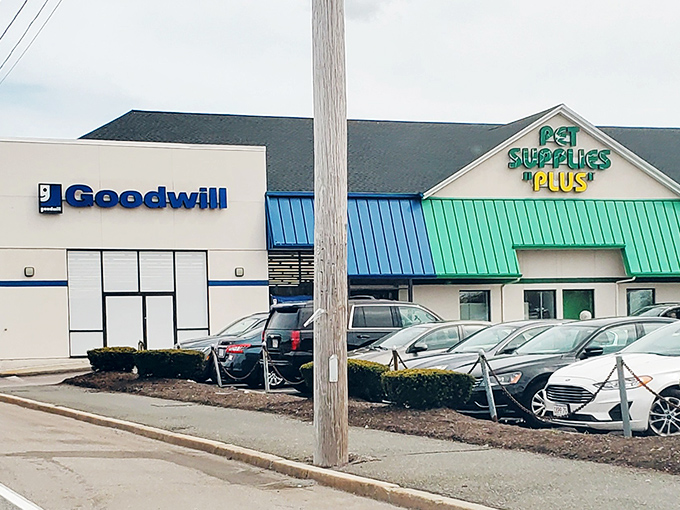 Parking lot of possibilities. Each car represents someone inside discovering treasures that others overlooked, proving one person's discard is another's delight.