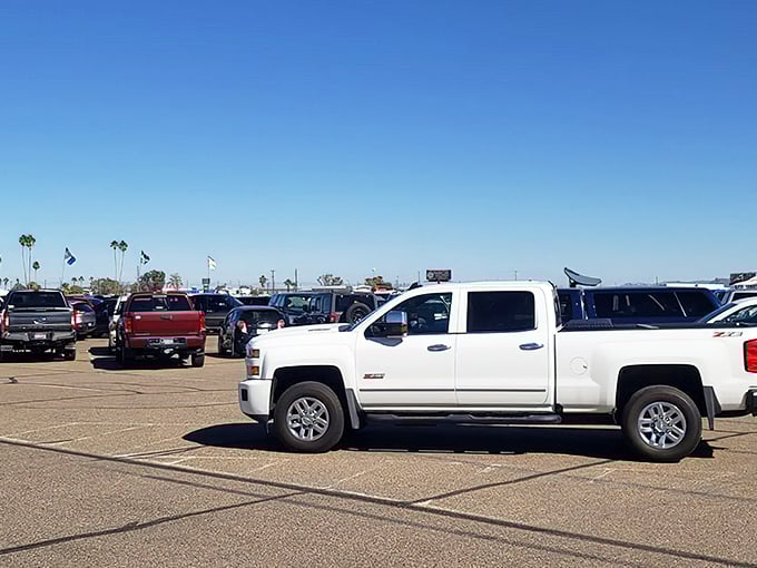 The parking lot tells its own story—rows of trucks and SUVs from Arizona and beyond, each waiting to be filled with newfound treasures.