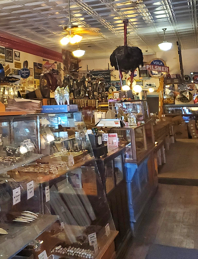 Display cases guard treasures more valuable than gold to those with a sweet tooth and childhood memories.