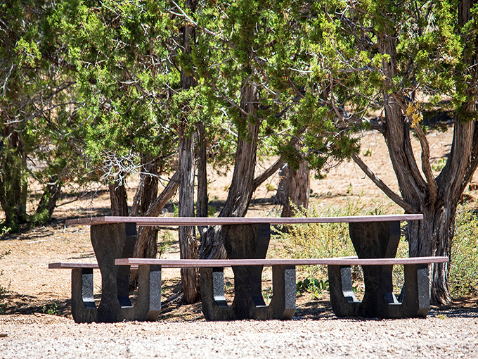Lunch with a view that beats any restaurant reservation. This simple picnic table offers dining ambiance money simply cannot buy.