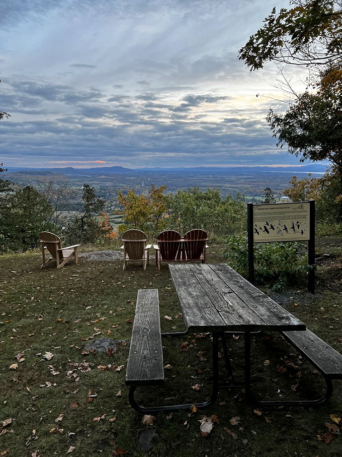 Sunset picnics at Mount Philo&mdash;where the dining ambiance puts even the fanciest restaurants to shame.