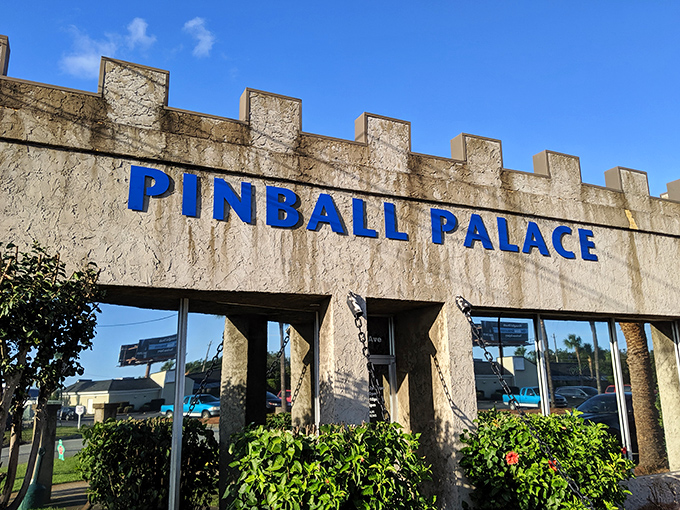 Pinball Palace brings back the satisfying clatter of analog entertainment—before "gaming" required downloading updates or explaining Bitcoin to anyone.