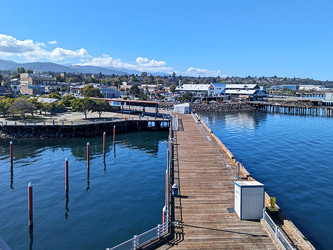 The City Pier extends like a welcoming handshake into Port Angeles Harbor, offering panoramic views that no smartphone camera can truly capture.