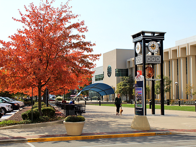 Fall colors frame Fort Wayne's public spaces with Instagram-worthy splendor, creating seasonal beauty that almost makes you forget about the impending winter.