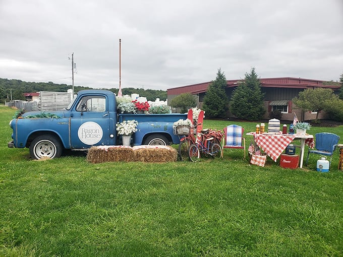 This vintage blue truck display captures Bolivar's essence—where rural charm meets thoughtful presentation in a scene worthy of a country lifestyle magazine.