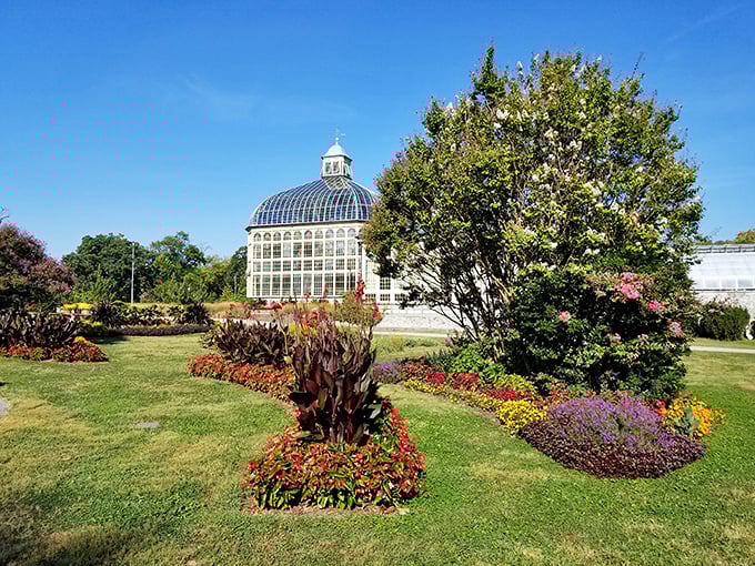 Rawlings Conservatory's Victorian glass palace houses botanical treasures from around the world. A tropical vacation in Baltimore, no passport required.