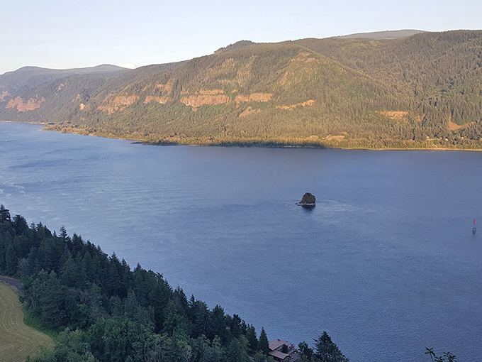 The Columbia River stretches toward the horizon like a blue highway, bordered by nature's version of high-rise developments.