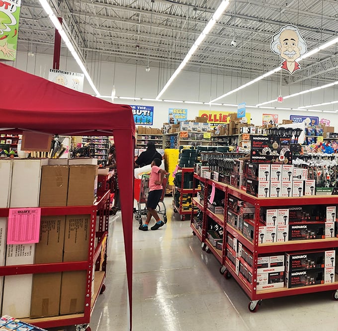 Kitchen gadgets and household items scattered like treasures in a modern-day Ali Baba's cave, minus the "Open Sesame" password requirement.