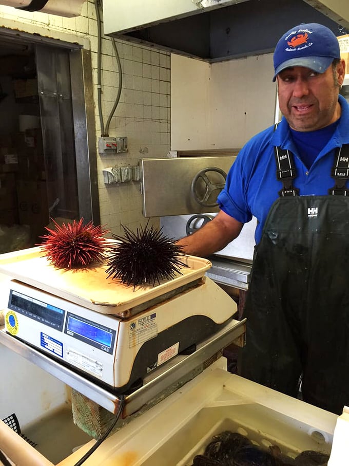 Meet the sea urchin whisperer &ndash; bringing spiny treasures to adventurous diners with a smile.