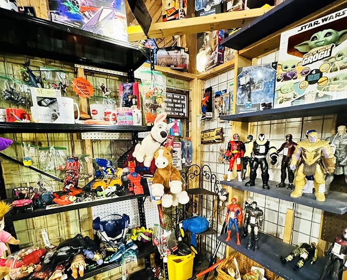 Superhero headquarters! From Star Wars to Marvel, these action figures aren't just toys—they're childhood memories preserved in plastic.