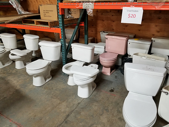 Yes, those are toilets lined up like porcelain soldiers – including one pink throne fit for a bathroom queen.