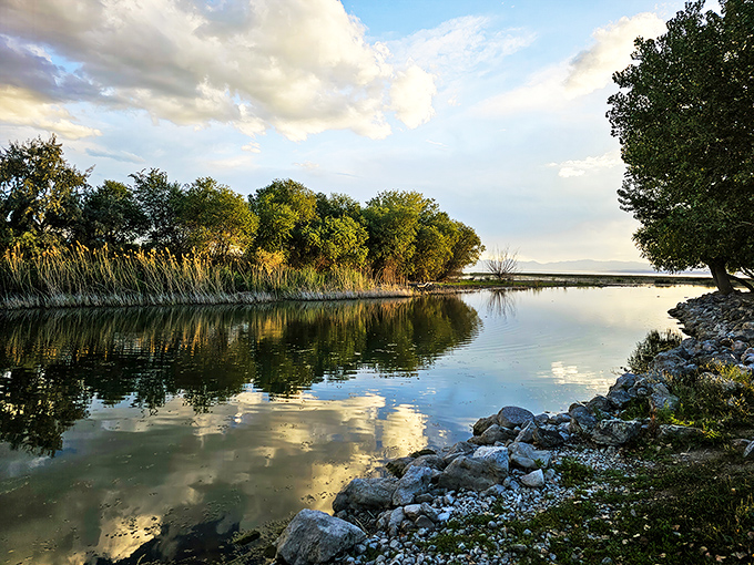 Utah Lake's serene waters mirror perfect clouds, creating nature's own infinity pool. A moment of tranquility just minutes from downtown bustle.