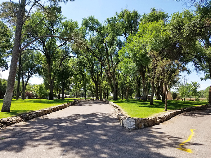 Willow Creek Park's tree-lined pathways offer shaded sanctuary for morning walks, where the only traffic jam involves squirrels arguing over acorn real estate.