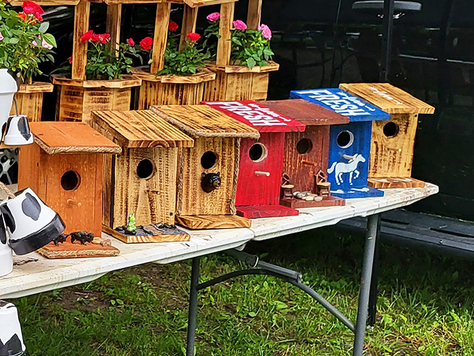 Birdhouses with personality! These wooden dwellings prove that even West Virginia birds appreciate good real estate with character and curb appeal.