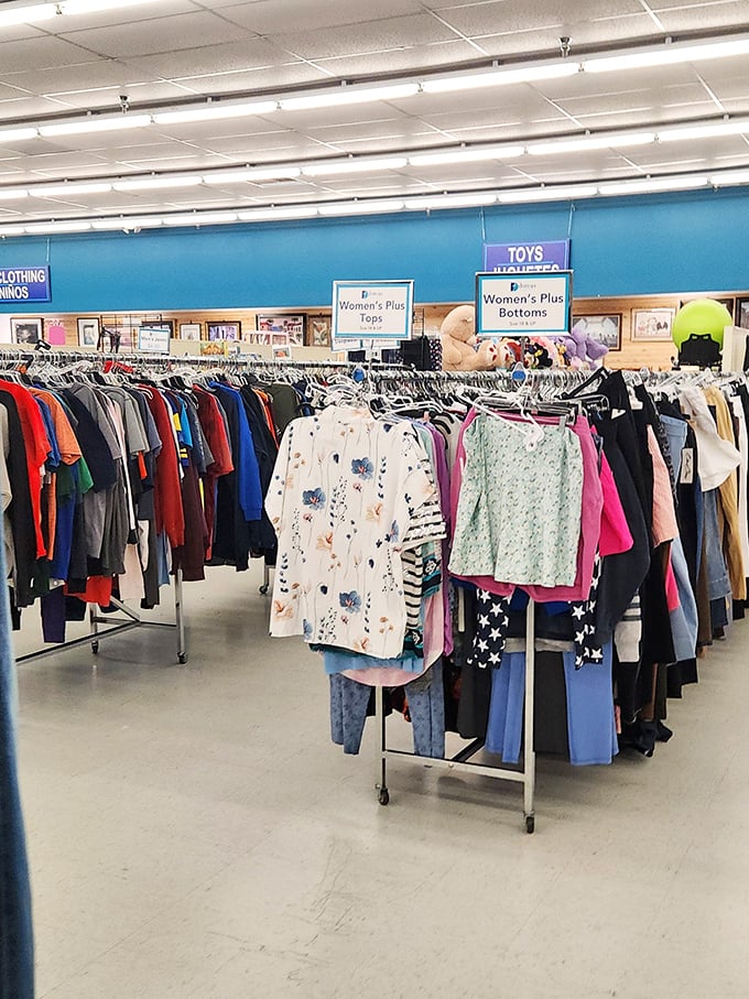 The clothing section &ndash; where fashion comes full circle and yesterday's trends wait patiently for their inevitable comeback.