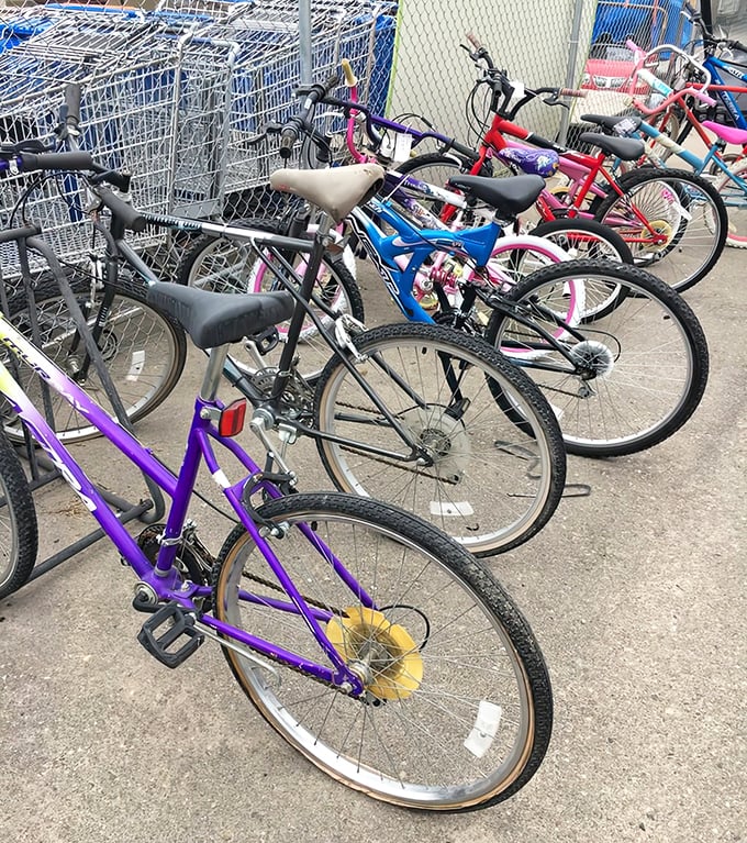 Bicycle bonanza! From kid-sized first rides to adult adventures waiting to happen, these wheels are ready to roll into new memories.