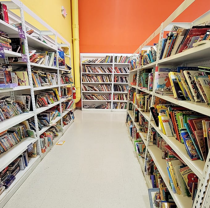 The book section rivals some small-town libraries. Between these shelves, literary treasures wait to be discovered for less than the price of a fancy coffee.